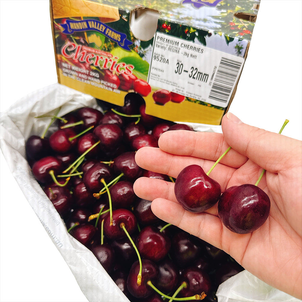 WVF Export Premium Regina Cherries 30-32mm Gift Box 2kg – Umall - Australia's Largest Online ...