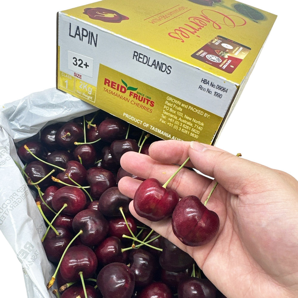 Reid Fruits Tasmanian Lapin Cherries Gift Box - 32mm+ 2kg – Umall - Australia's Largest Online ...