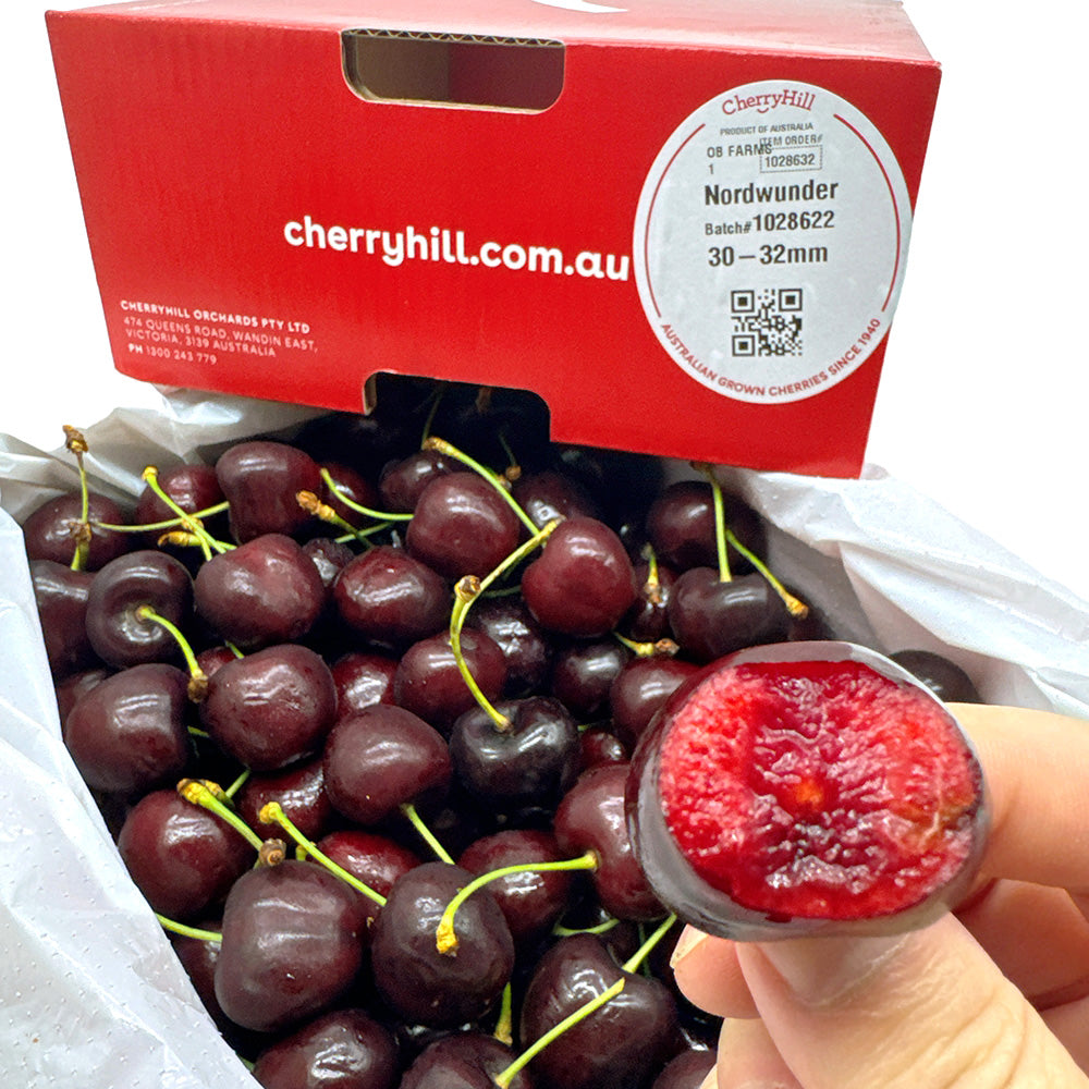 CherryHill Nordwunder Cherries Gift Box 30-32mm - 2kg – Umall - Australia's Largest Online Asian ...