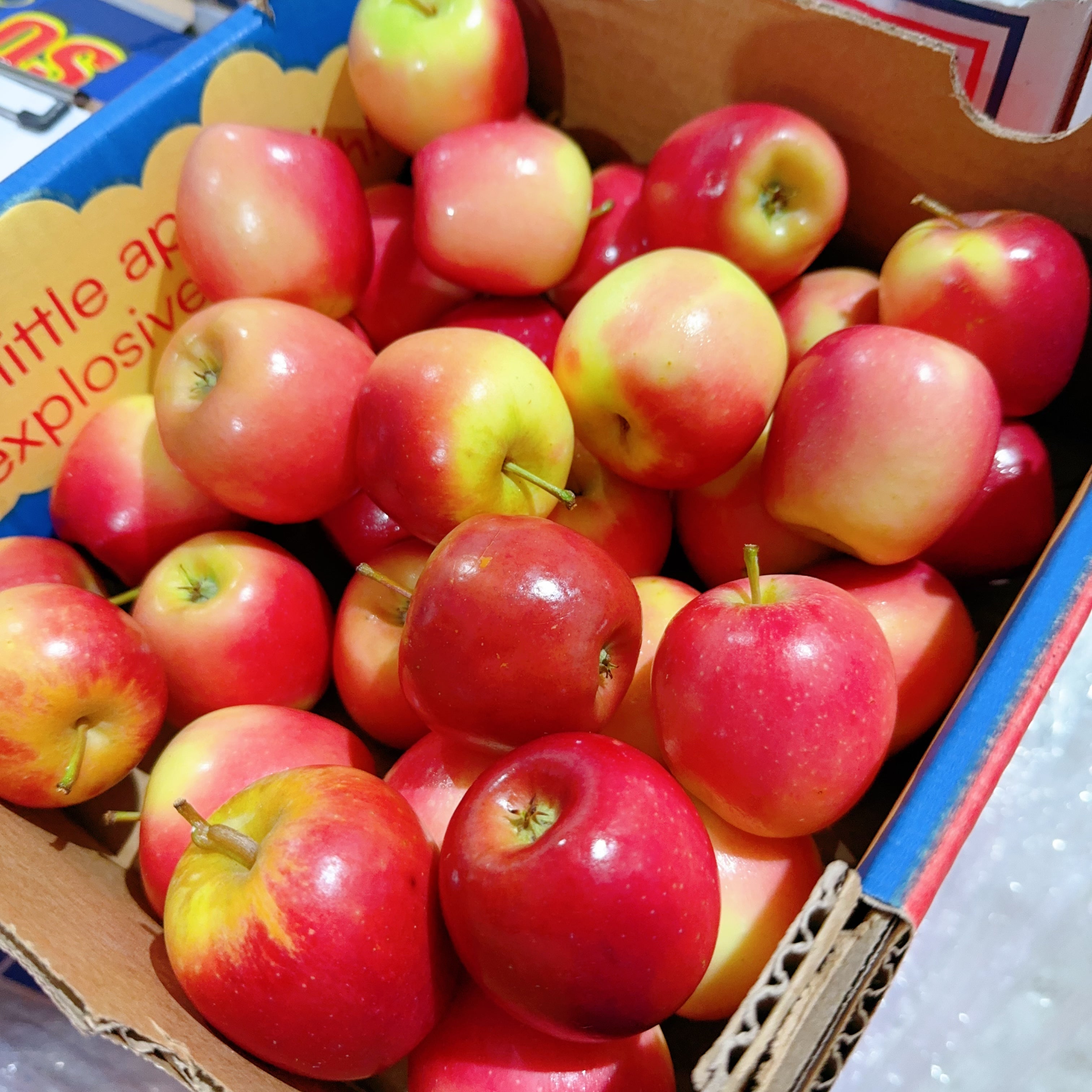 Missile Mini Apples 1kg – Umall - Australia's Largest Online Asian ...