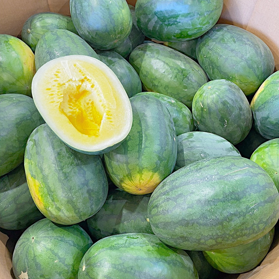 Extra Large Yellow Flesh Watermelon - 1 Piece, 8kg+ – Umall - Australia ...