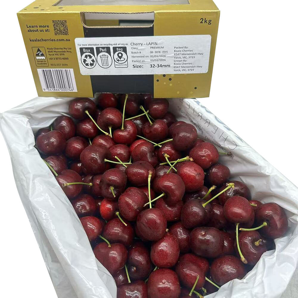 Koala Cherries Lapin Premium Cherries Gift Box 2kg (32–34mm) – Umall ...