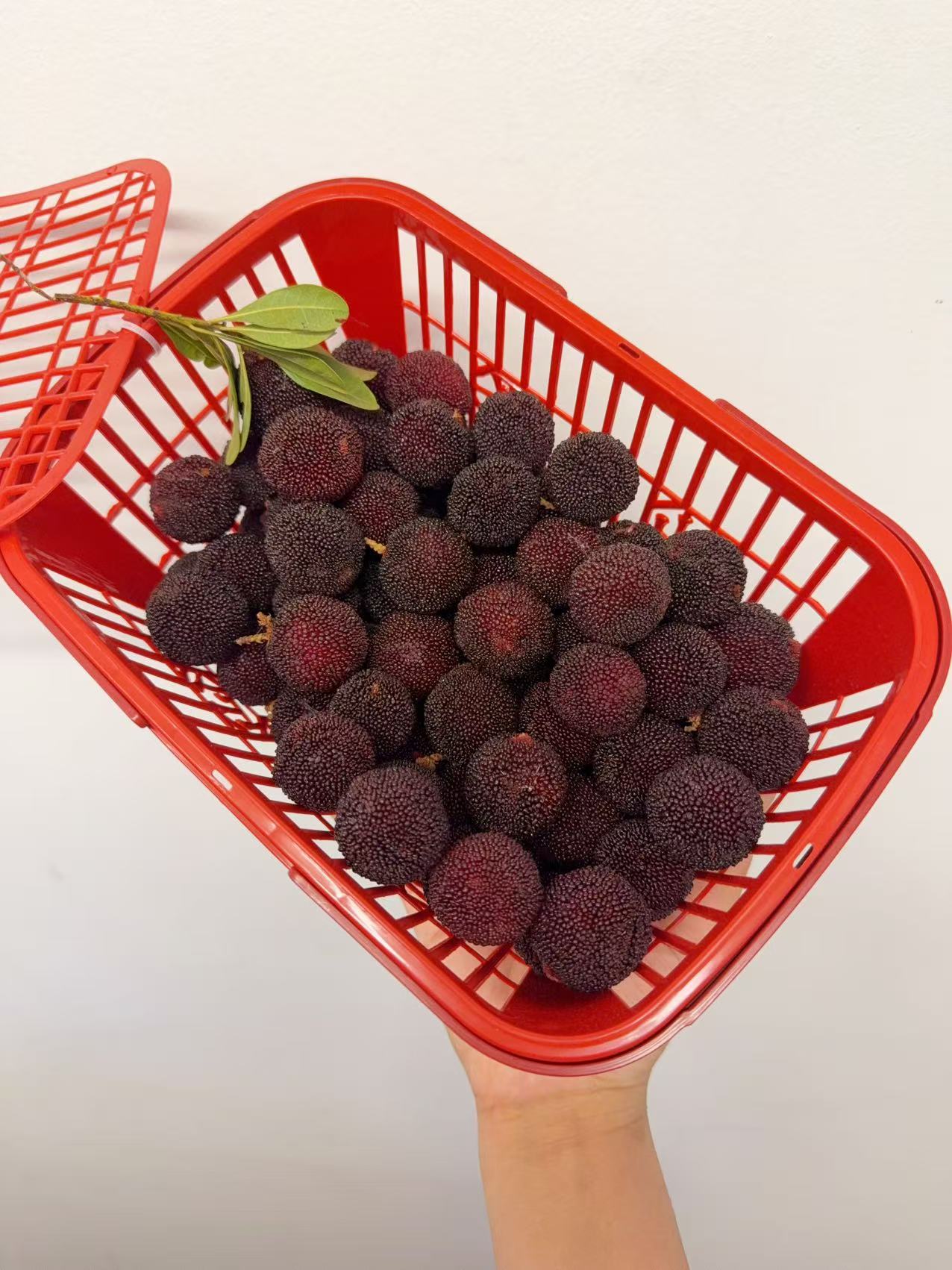 Fresh Heitan Yangmei 200g Punnet - Chinese Bayberries – Umall ...