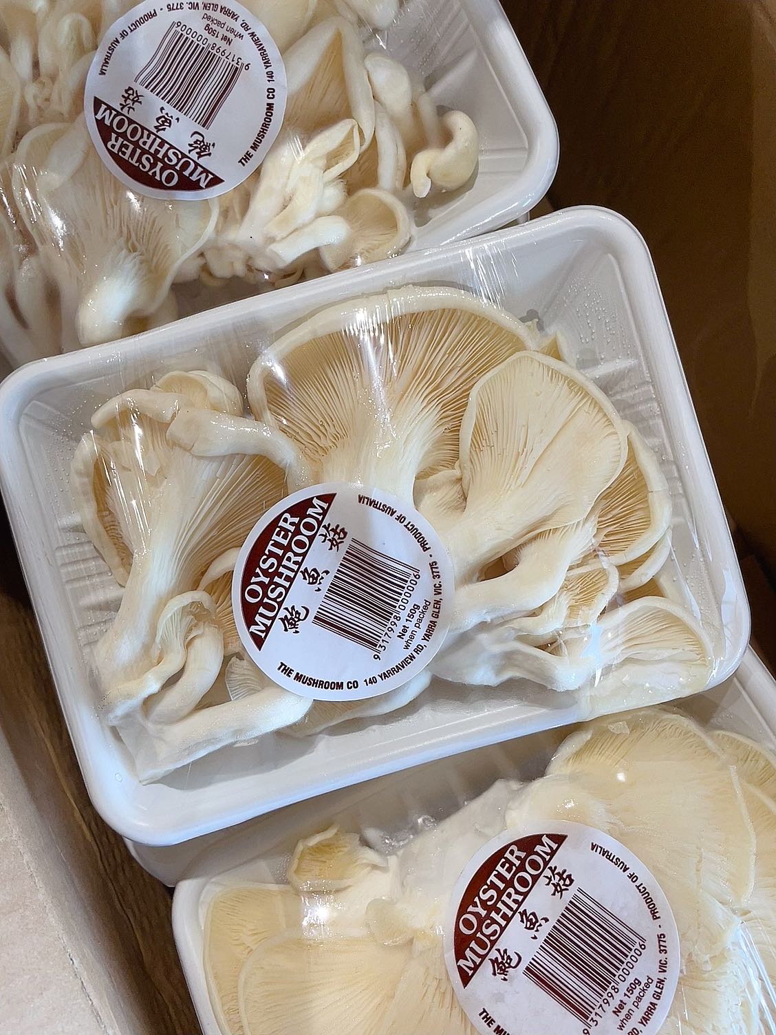 Fresh White Oyster Mushrooms - 1 Box – Umall - Australia's Largest ...