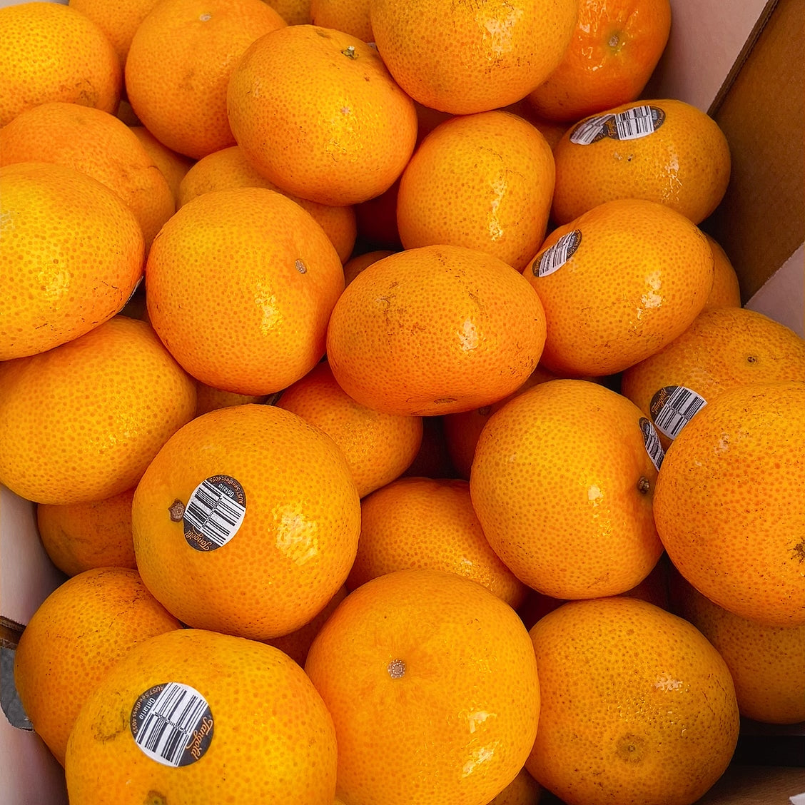 Local Thin-skinned Small Mandarins 1kg – Umall - Australia's Largest ...