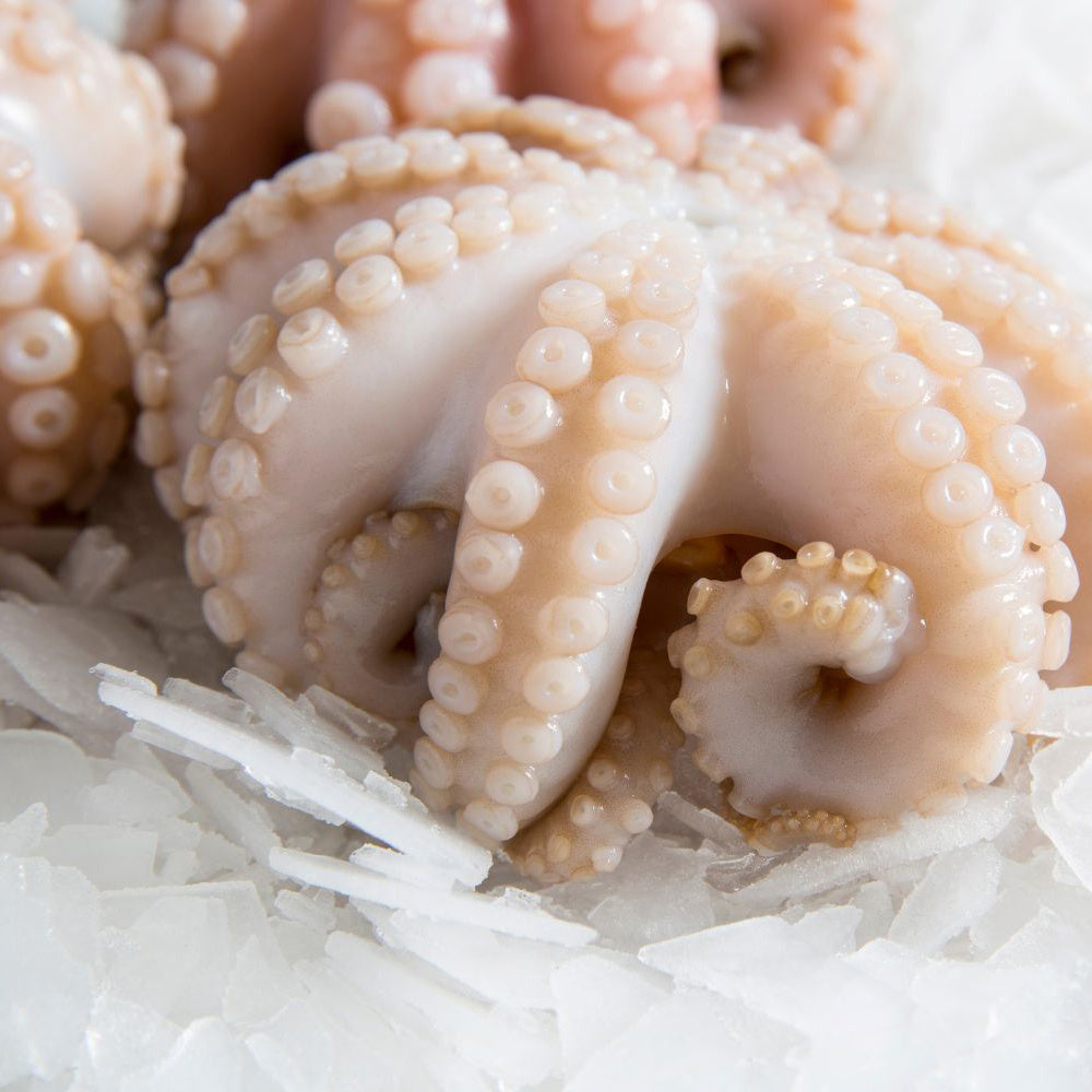 Frozen Cleaned Baby Octopus - 1kg – Umall - Australia's Largest Online ...