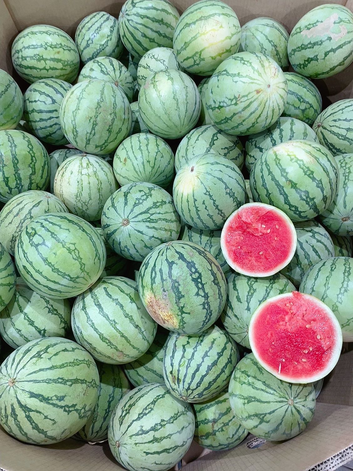 Sweet Sugar Baby Watermelon 2-3kg – Umall - Australia's Largest Online ...