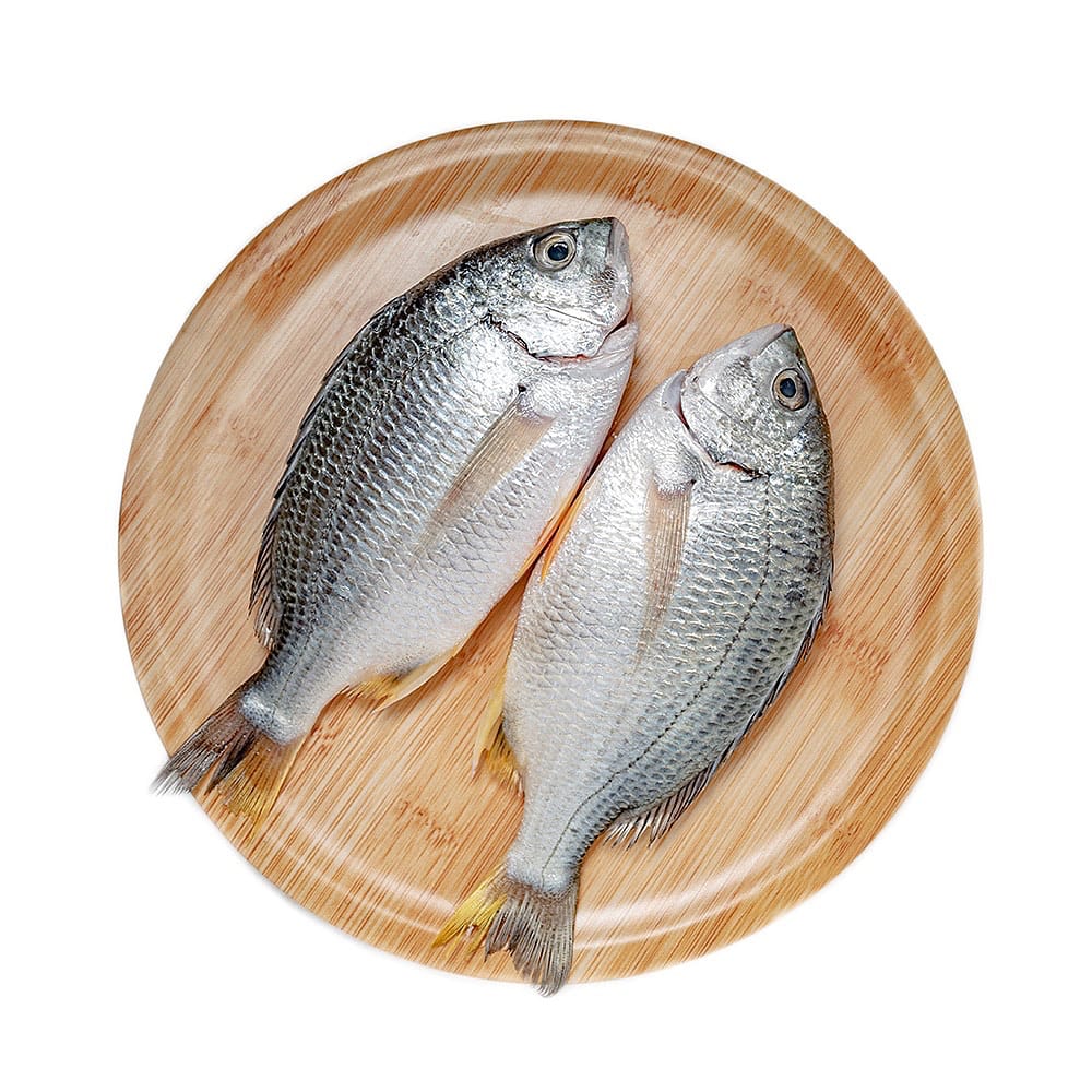 Frozen Fresh Local White Pomfret - 450g – Umall - Australia's Largest ...