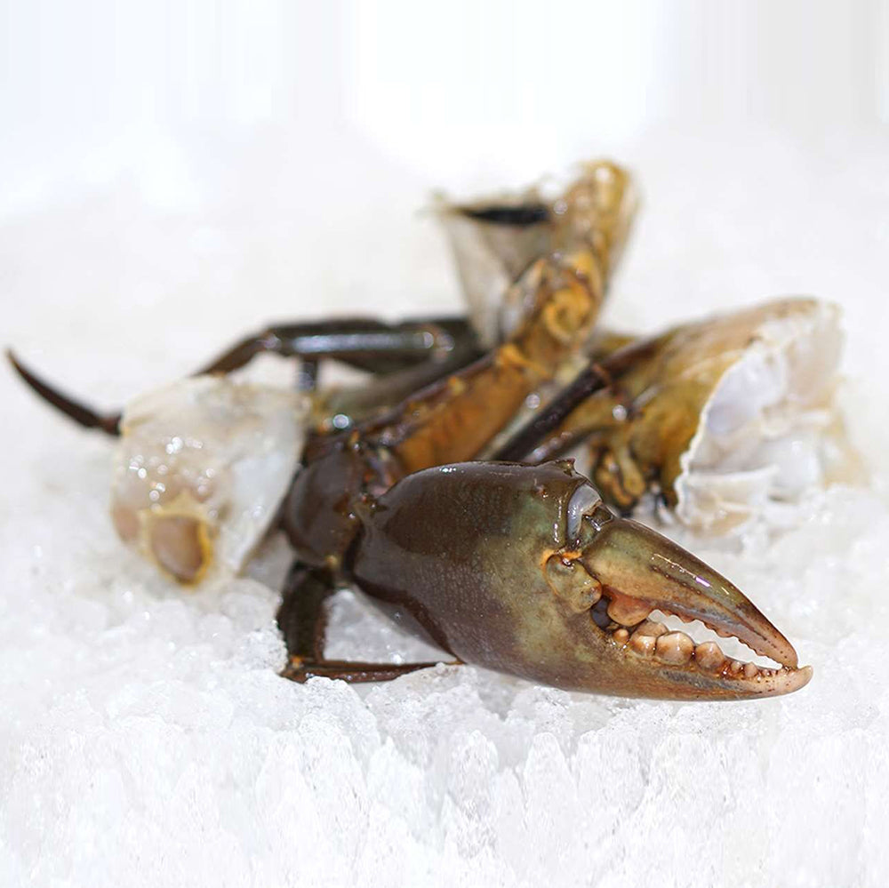 Frozen Mud Crab Pieces - 1 Pack (2 Claws, 4 Pieces) – Umall - Australia ...