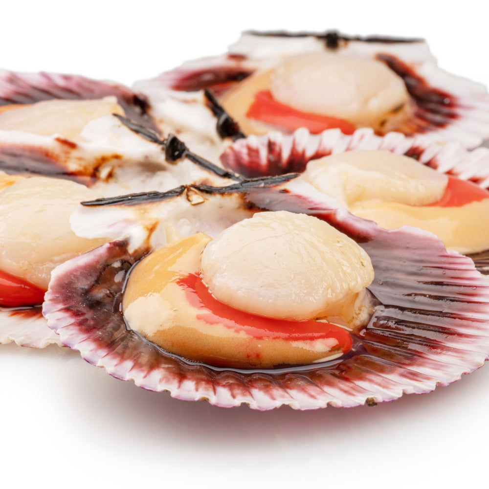 Hokkaido Scallop Half Shell - 1 Dozen – Umall - Australia's Largest ...