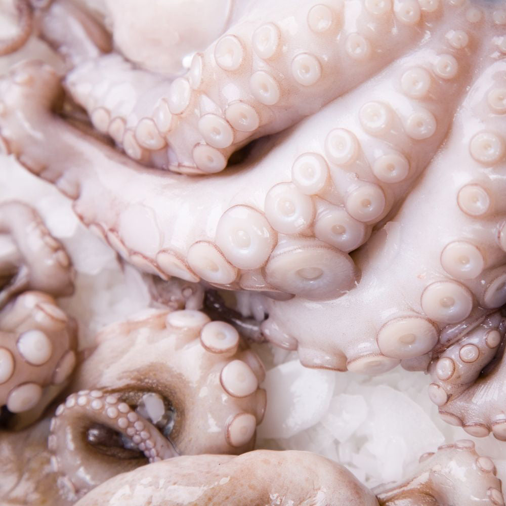 Frozen Octopus Legs - 1kg – Umall - Australia's Largest Online Asian ...