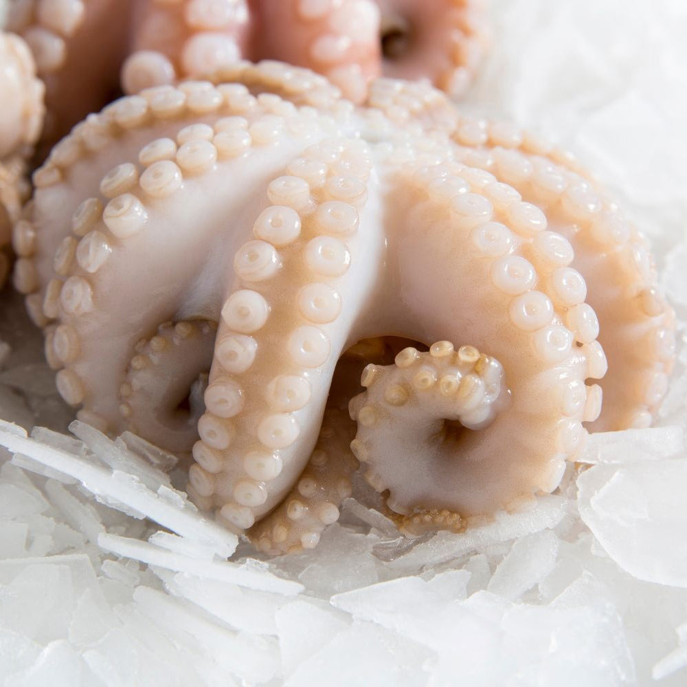 Cleaned Baby Octopus - 500g – Umall - Australia's Largest Online Asian ...
