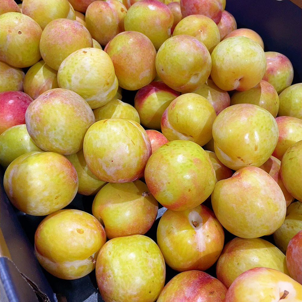 Green Plums 1kg – Umall - Australia's Largest Online Asian Supermarket