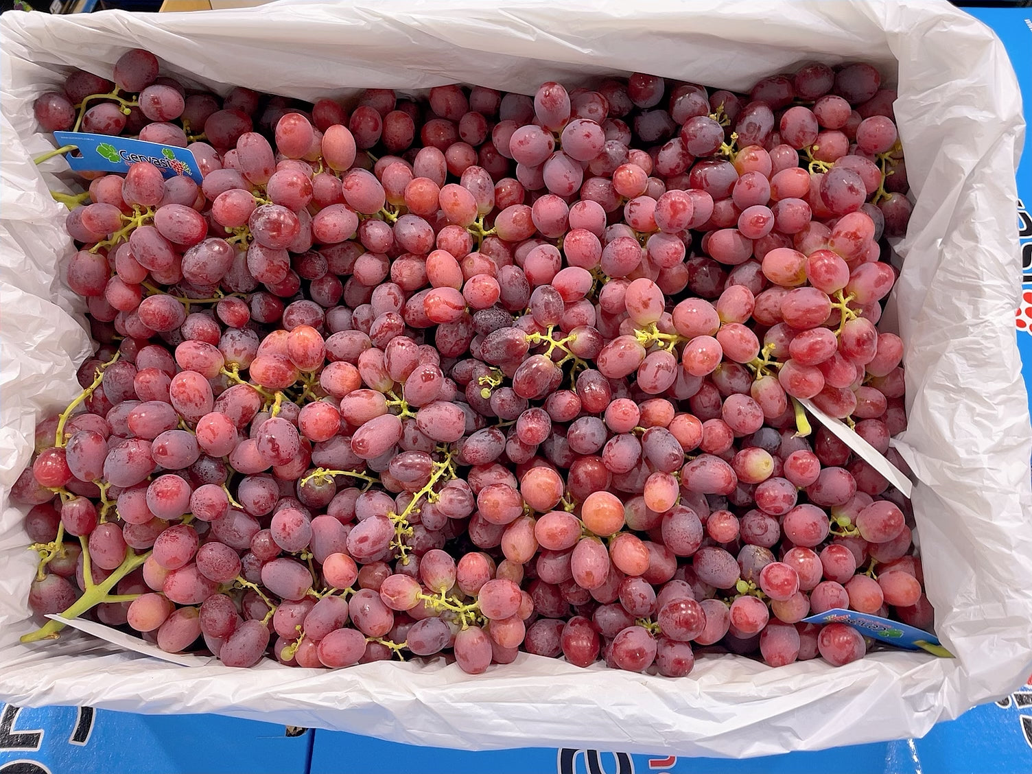 Premium Crisp Red Globe Grapes - 1kg – Umall - Australia's Largest ...