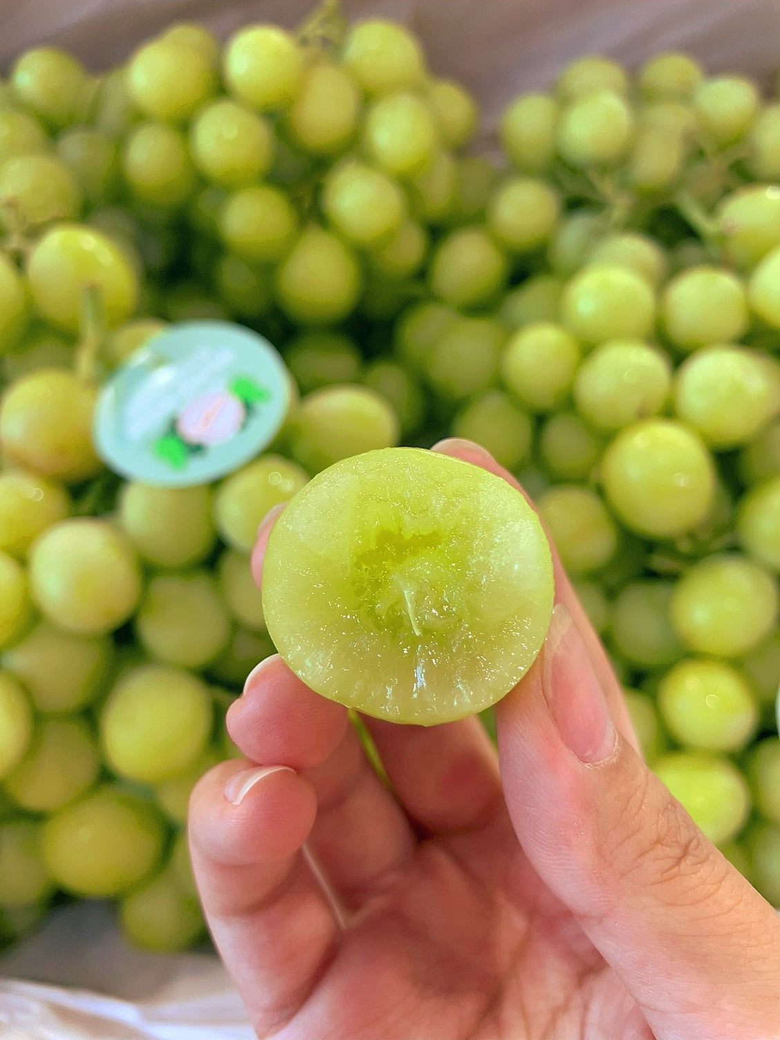 [Fresh] Perfection Premium Fruit - Sunny King (Directly Supplied from ...