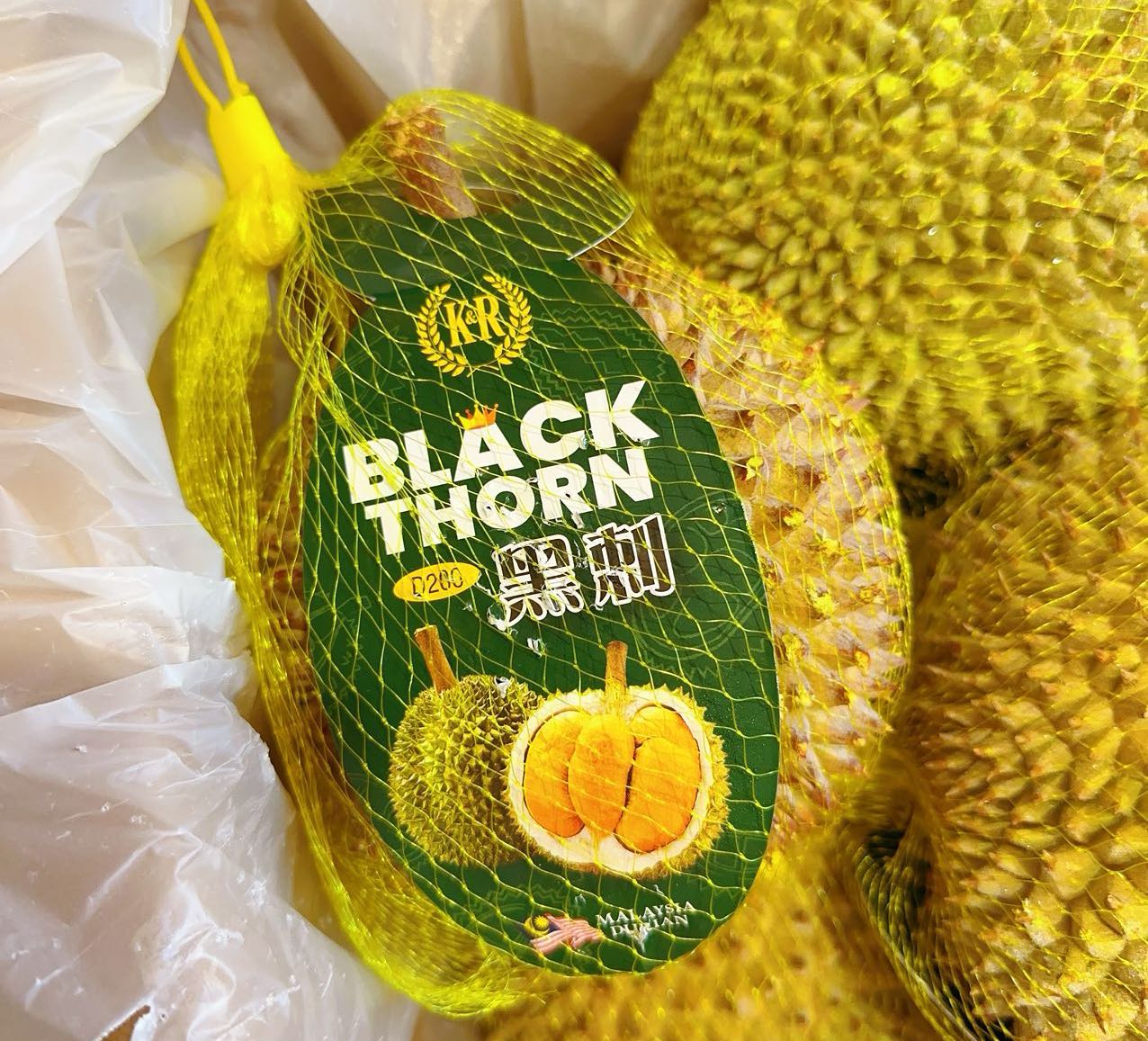 KR Frozen Netted Black Thorn Durian - 0.8-1kg Each – Umall - Australia ...