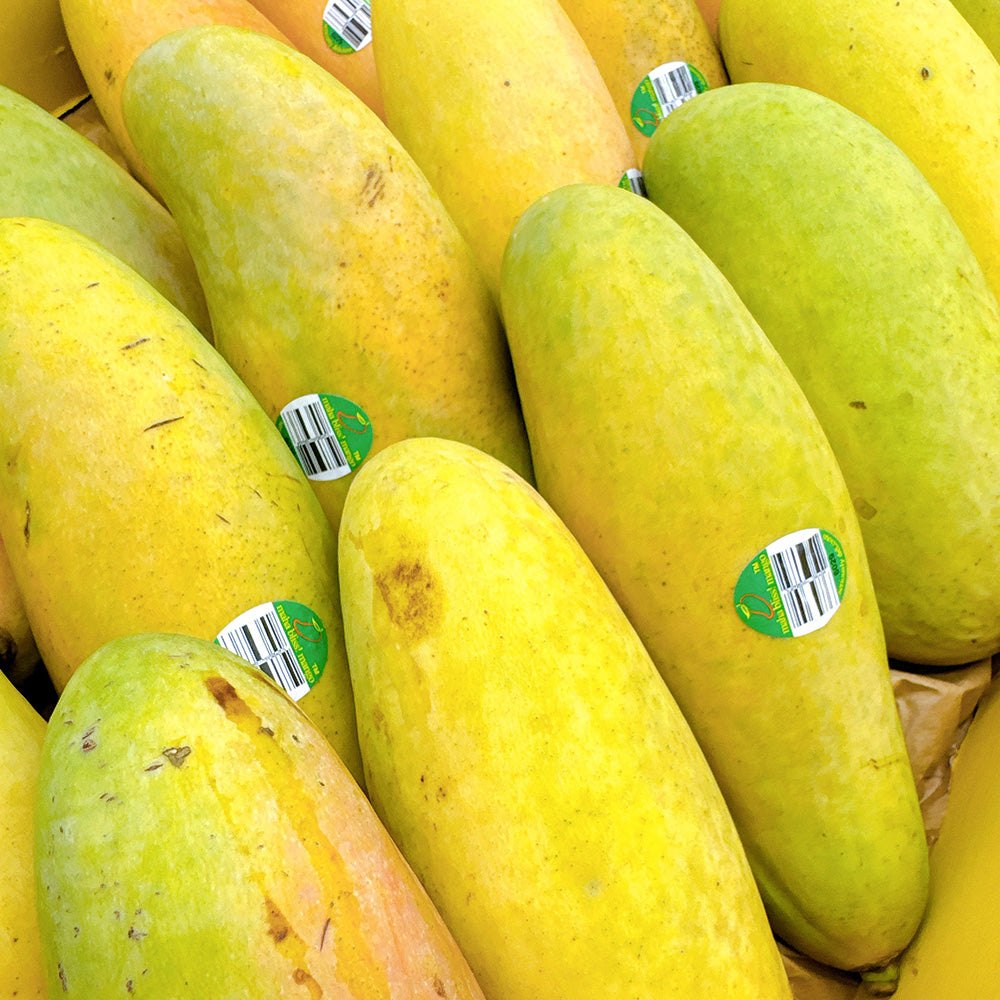 MAHA Dragon Tooth Mango - 750-850g – Umall - Australia's Largest Online ...