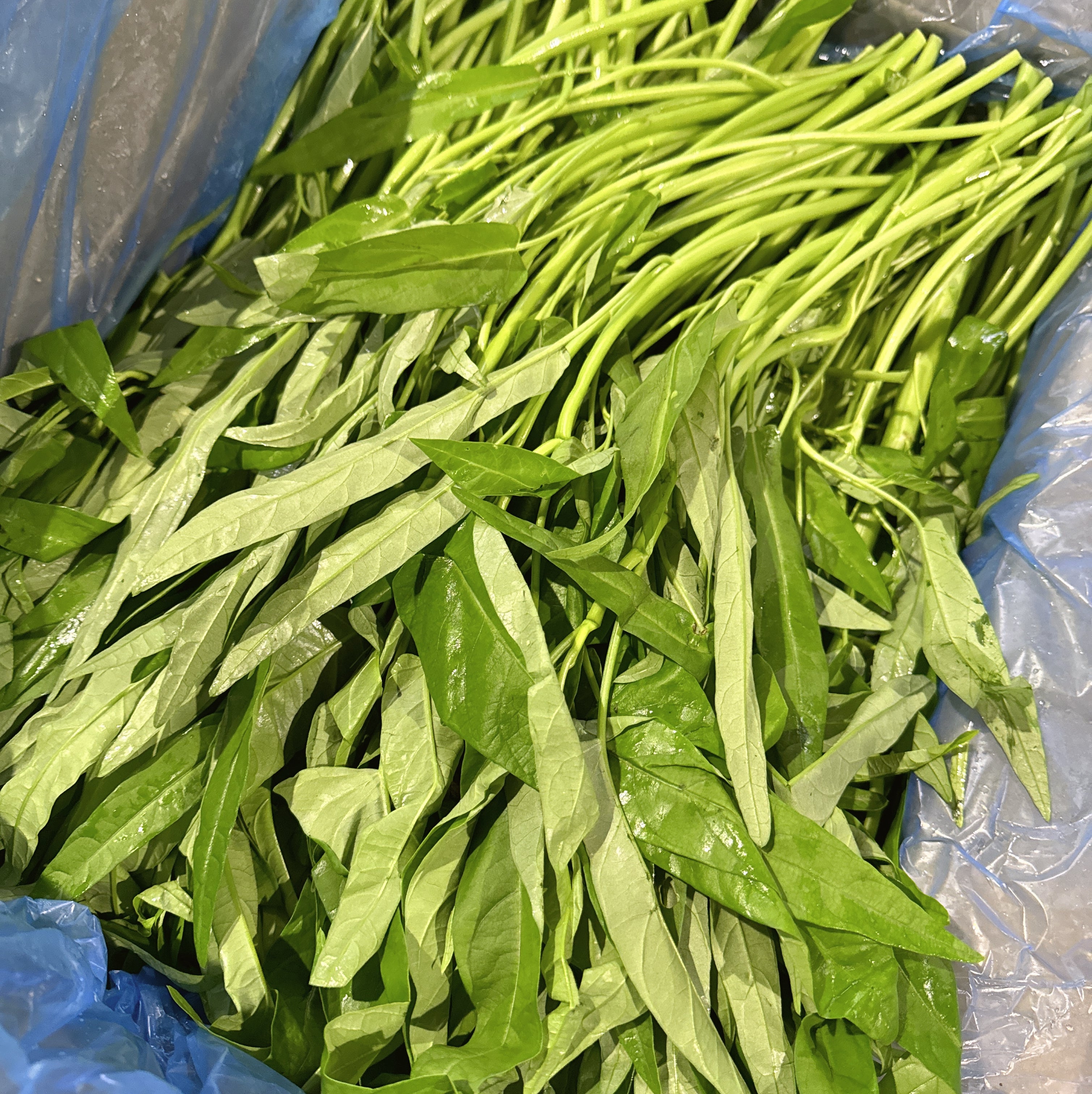 Queensland Water Spinach 300g - Next-Day Sydney Delivery – Umall ...