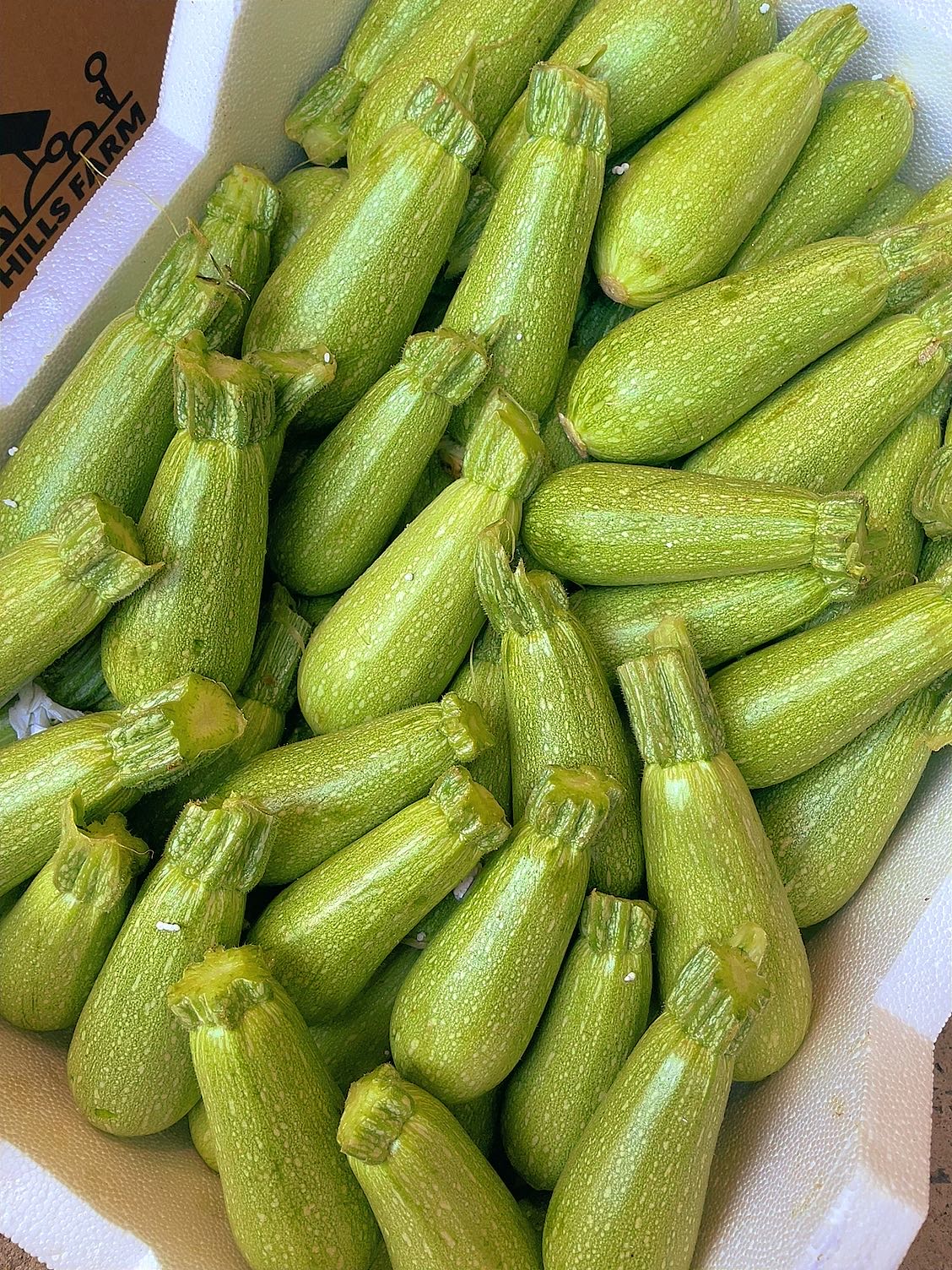 Buy Baby Zucchini 1kg In Sydney - Next-Day Delivery – Umall - Australia ...