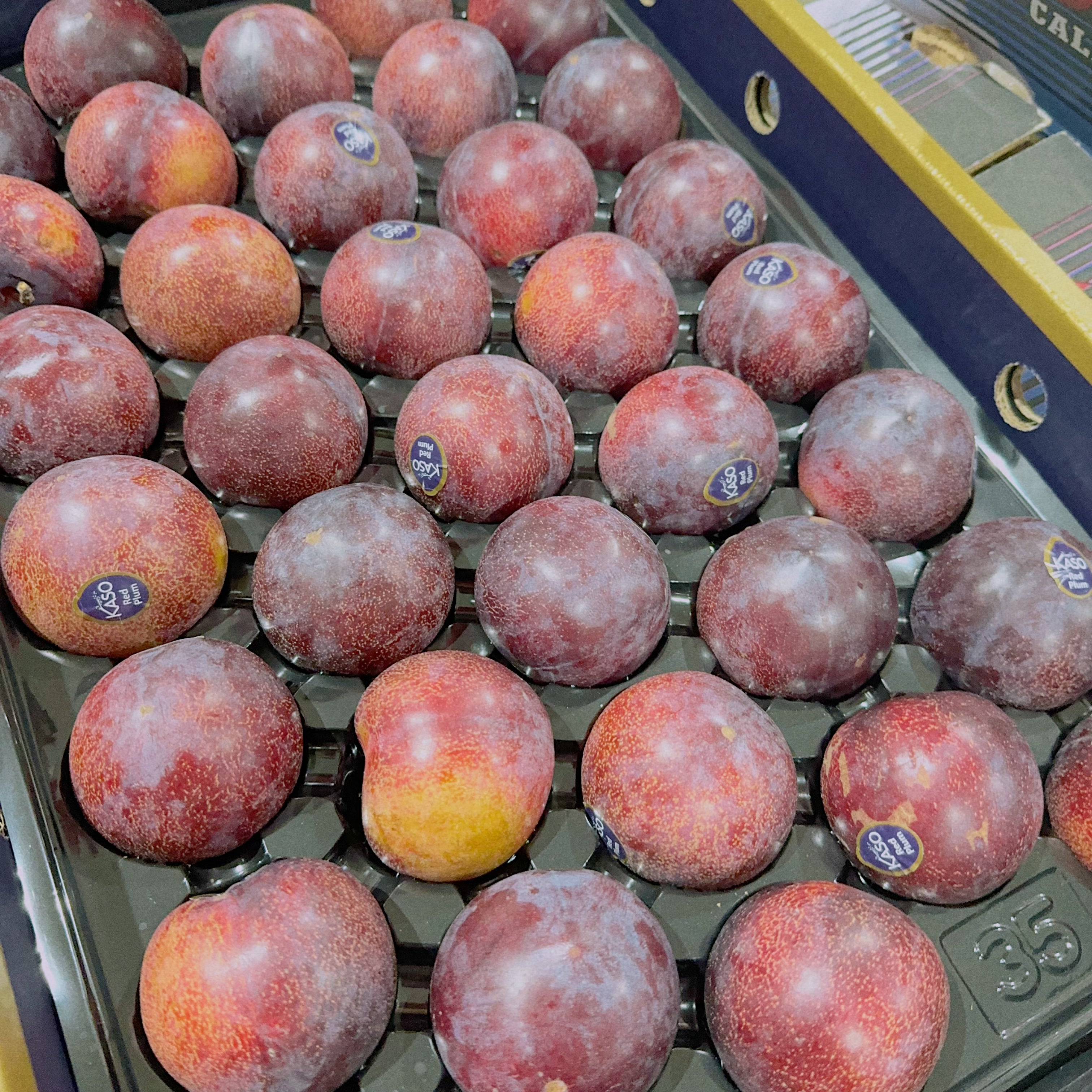 Australian Local Red Plums, 1kg – Umall - Australia's Largest Online ...