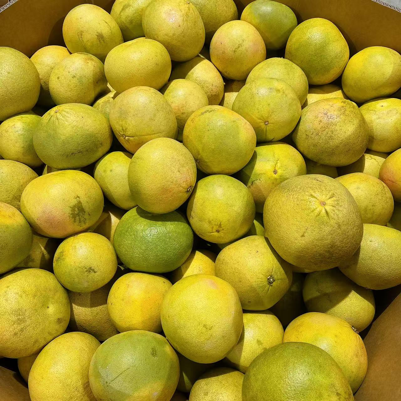 Queensland Red-Fleshed Shatian Pomelo - 1 Piece 1.6kg – Umall ...