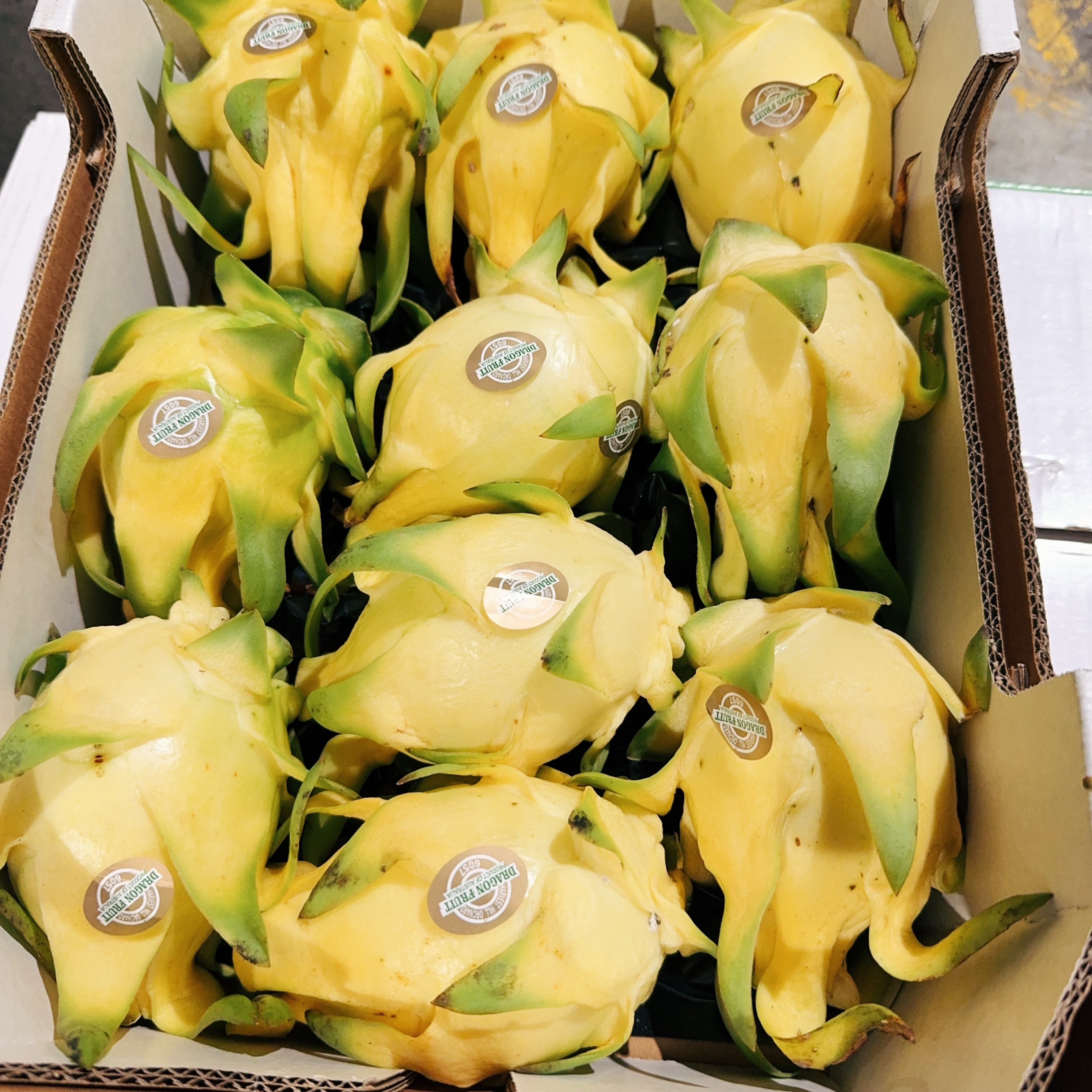 Yellow Dragon Fruit - 1 Piece – Umall - Australia's Largest Online ...