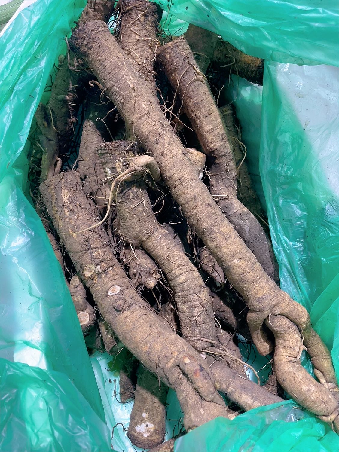 Buy Burdock Root 1kg in Sydney – Umall - Australia's Largest Online ...