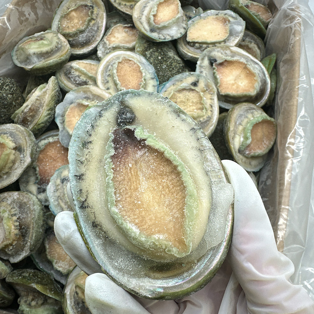 Frozen South Australian Greenlip Abalone - 8 Pieces, 1kg – Umall ...