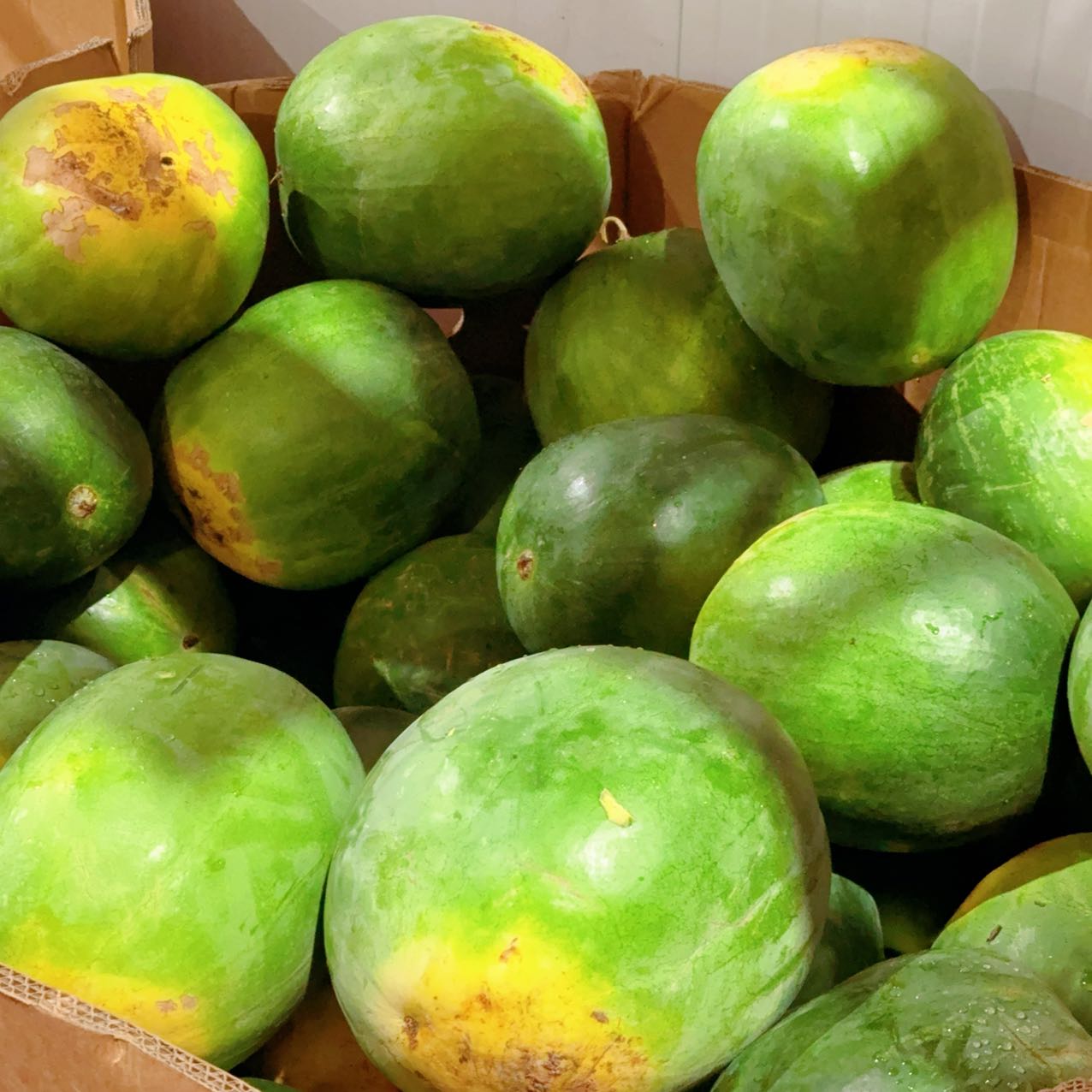 Watermelon - 1 Piece, 5-6kg – Umall - Australia's Largest Online Asian ...