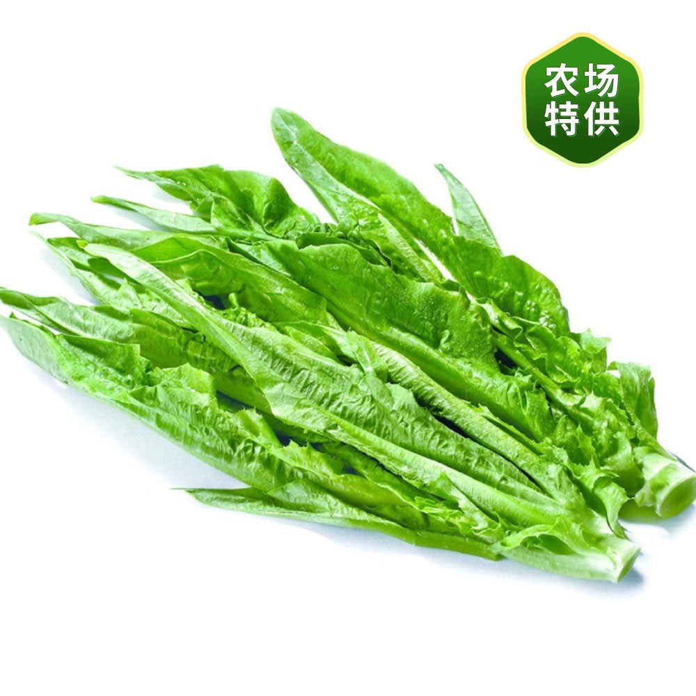 A-choy (Chinese Lettuce), 1 Bundle – Umall - Sydney's Largest Online ...