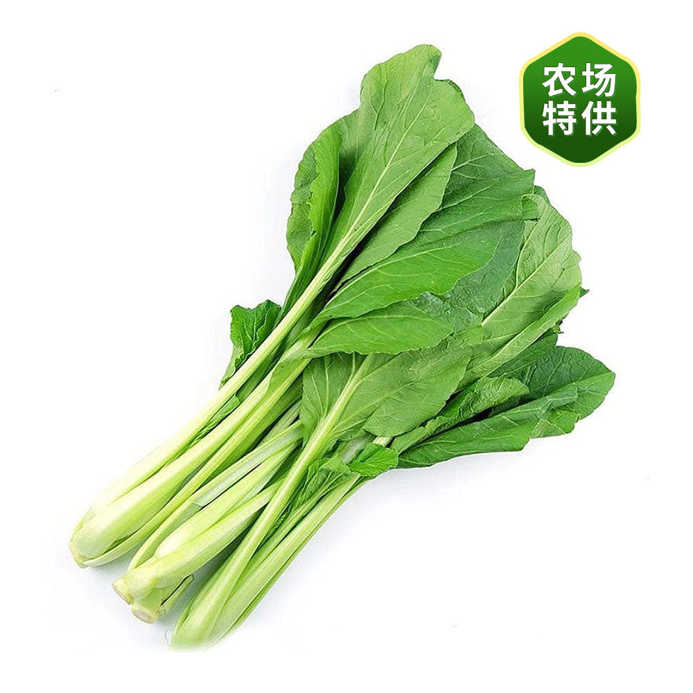 [Fresh] Large Bok Choy Bundle – Umall - Extensive Asian Groceries ...