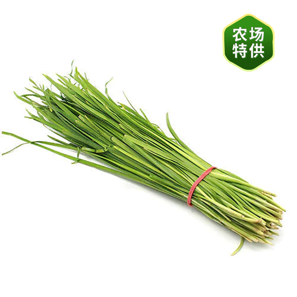 Bundle of Chives - Pack of 2 – Umall - Sydney's Largest Online Asian ...