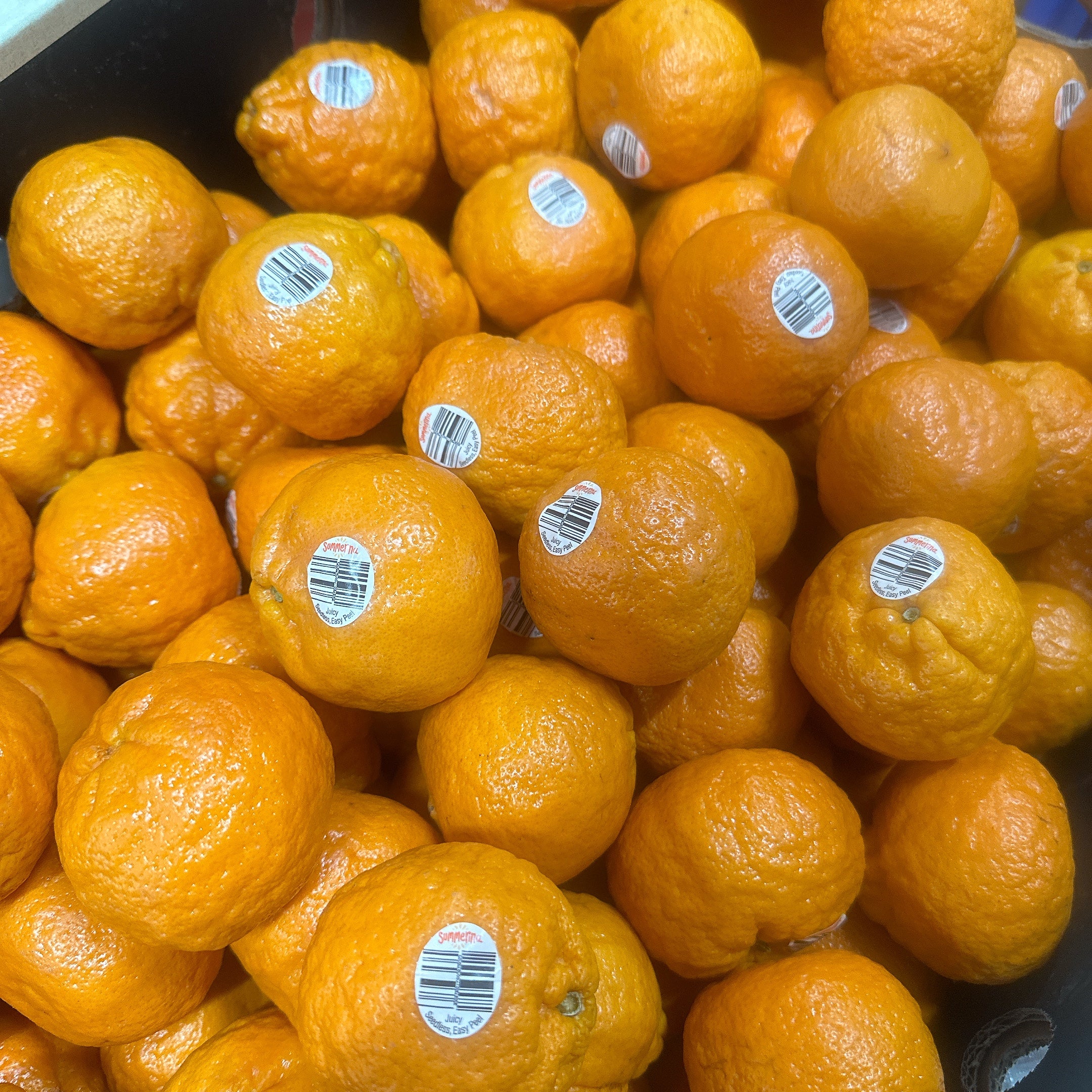 Get Summerina Mandarins 900g–1kg Delivered to Sydney – Umall ...