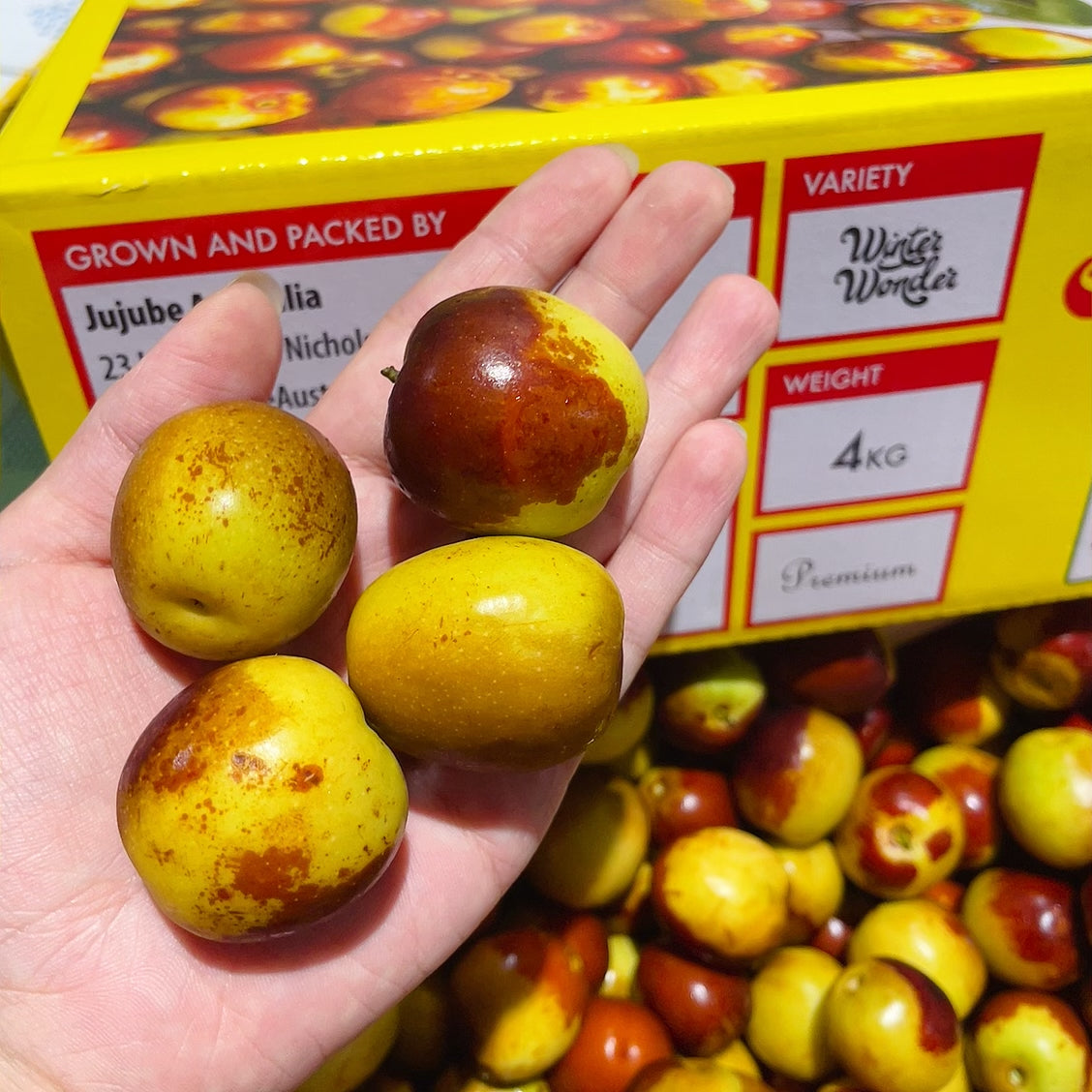 Super Sweet Winter Wonder Dates, 500g – Umall - Australia's Largest ...