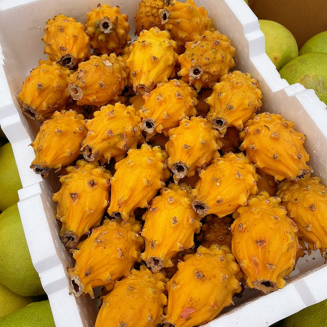 Queensland Medium Yellow Dragon Fruit - 2 Pieces – Umall - Australia's ...