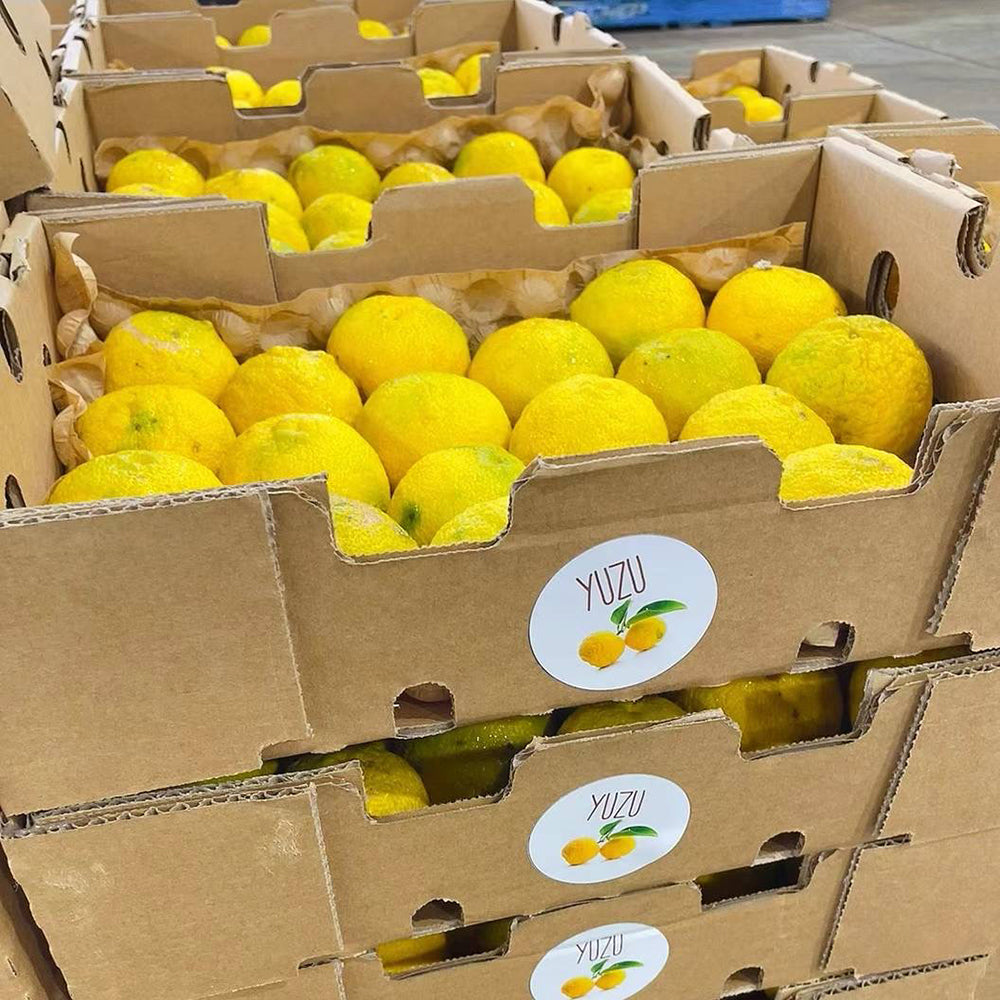 Locally Grown Japanese Yuzu, 1 Piece (For Tea Infusion, Not for Direct ...