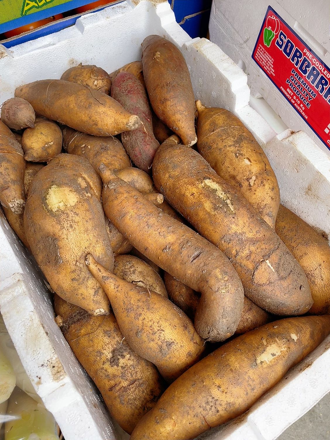 Yacon Root - 1kg – Umall - Australia's Largest Online Asian Supermarket