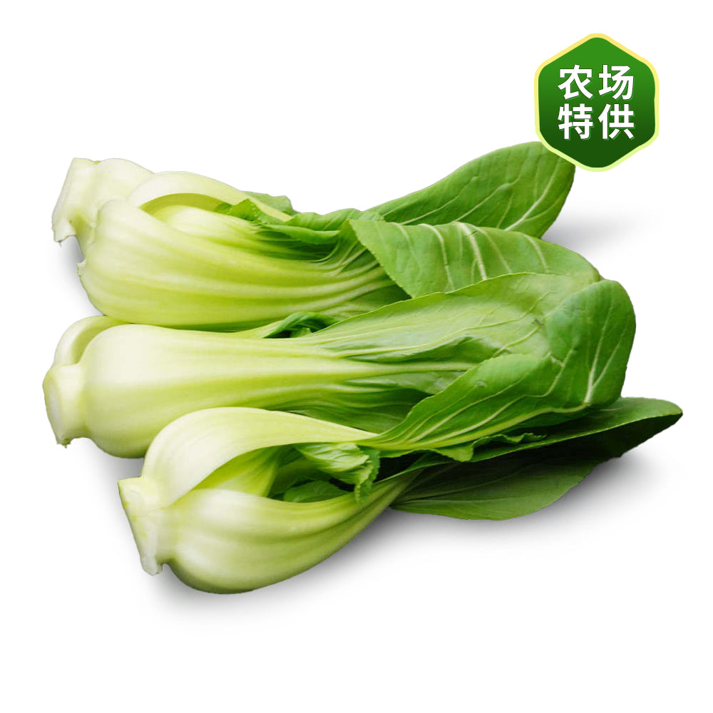 Hydroponically Grown Shanghai Bok Choy - 1 Bundle | Umall - Sydney's ...