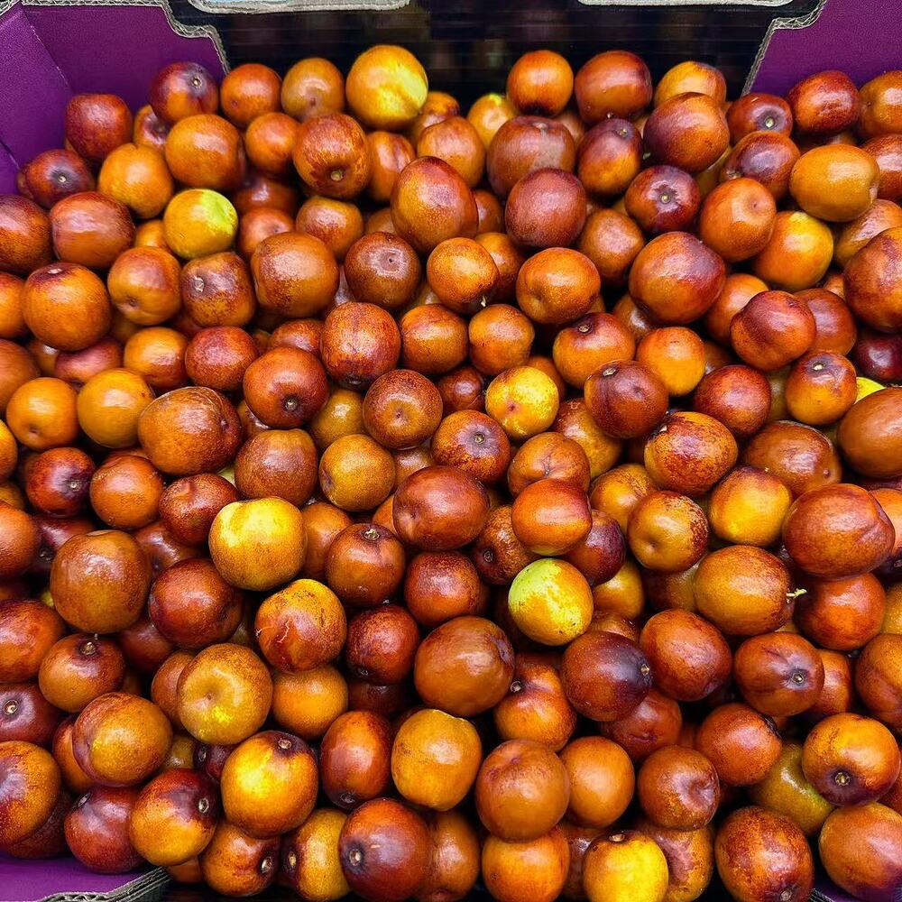 Luxury Candied Mini Jujubes - 500g – Umall - Australia's Largest Online ...