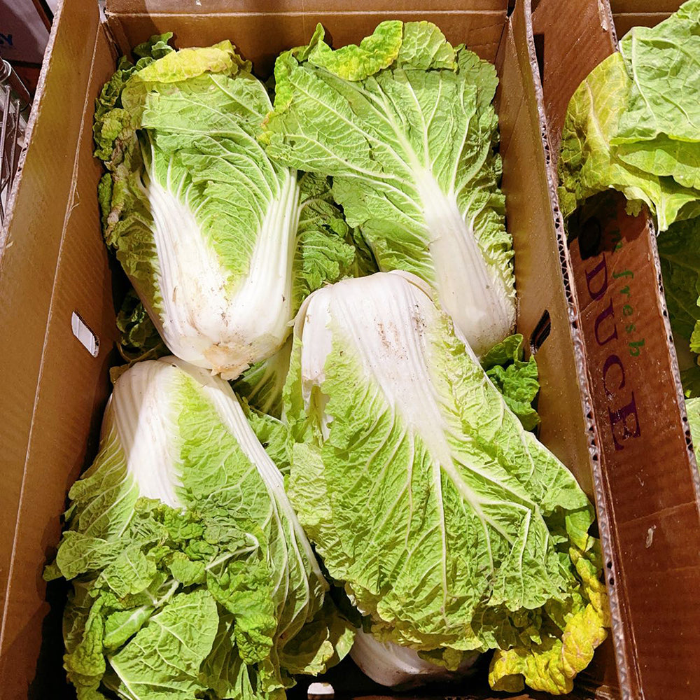 Fresh Local Napa Cabbage - 1 Piece – Umall - Sydney's Largest Online ...