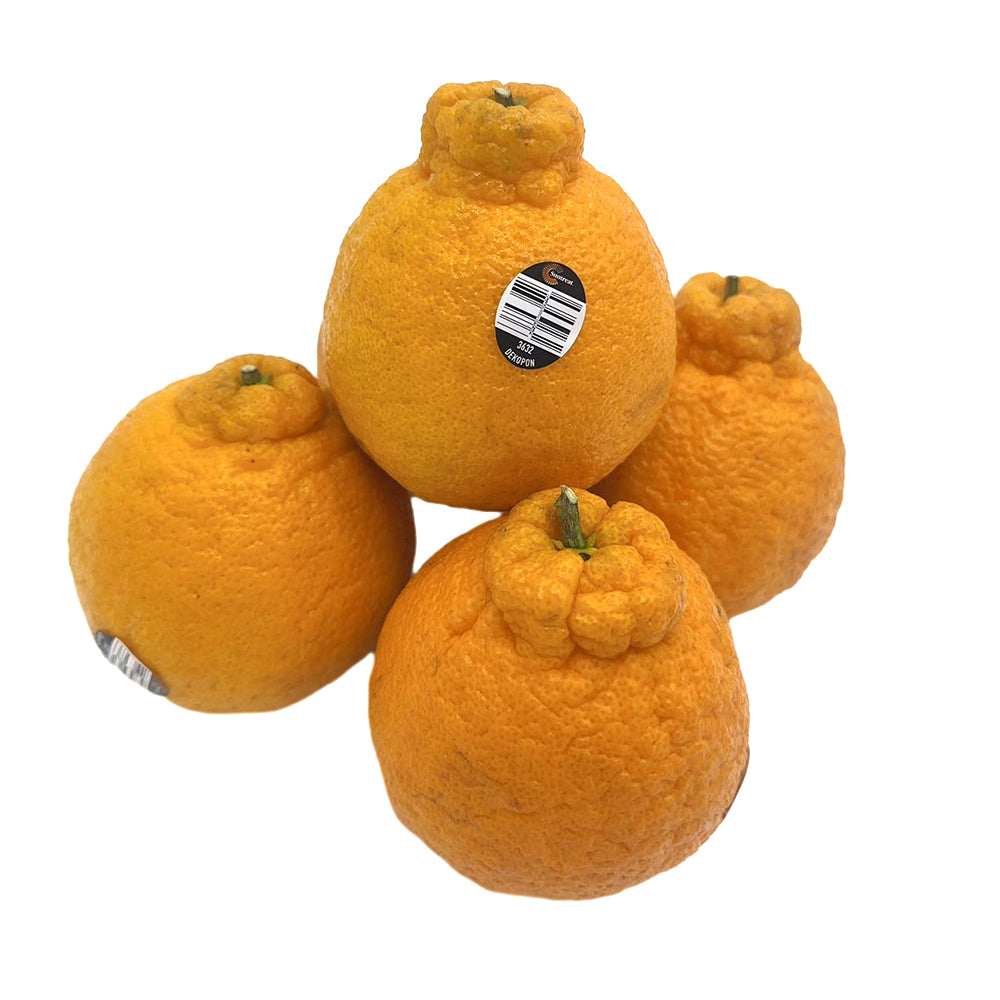 Shiranui Oranges - 1kg – Umall - Australia's Largest Online Asian ...