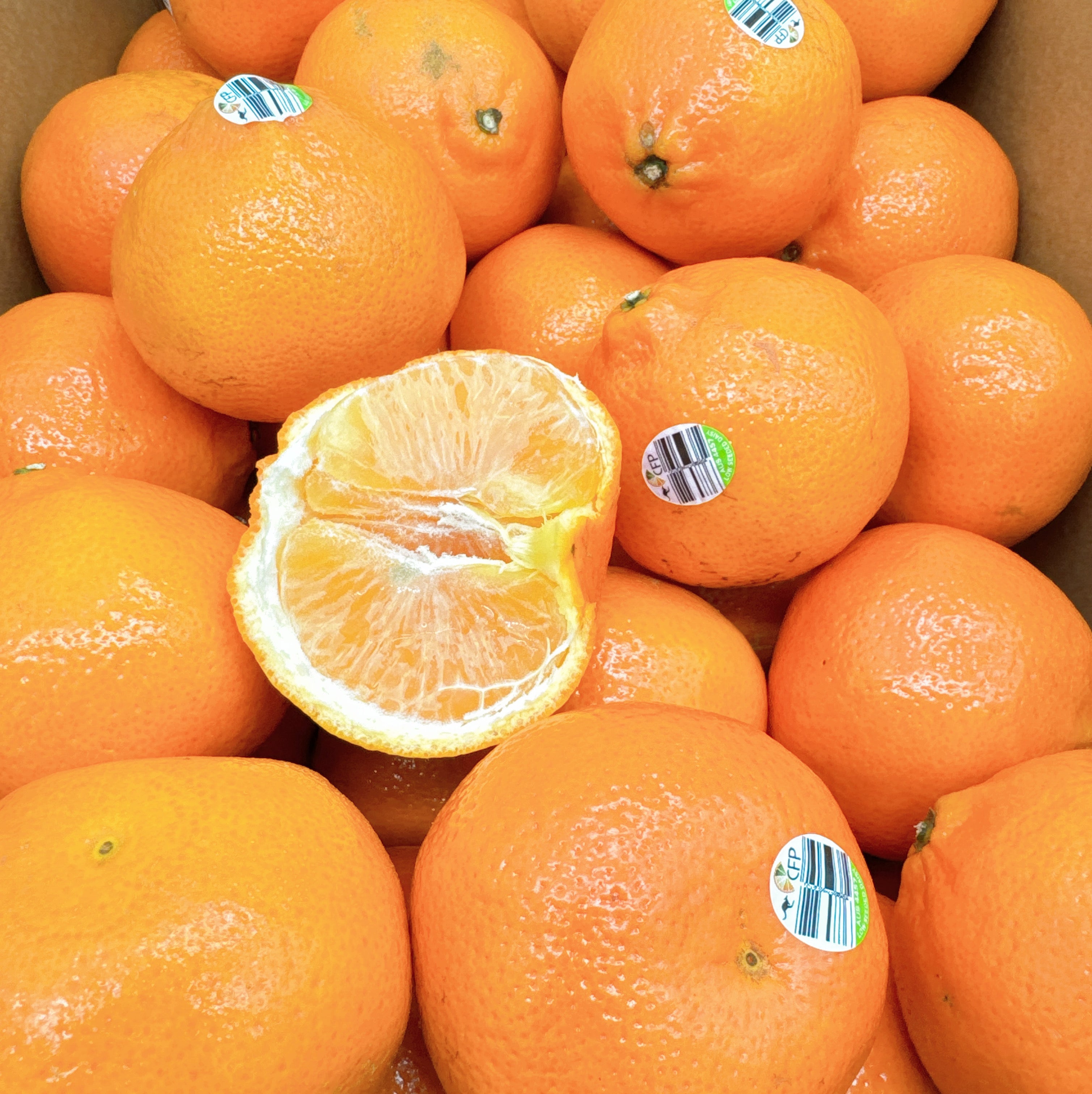 Daisy Sweet Oranges - 1kg – Umall - Australia's Largest Online Asian ...