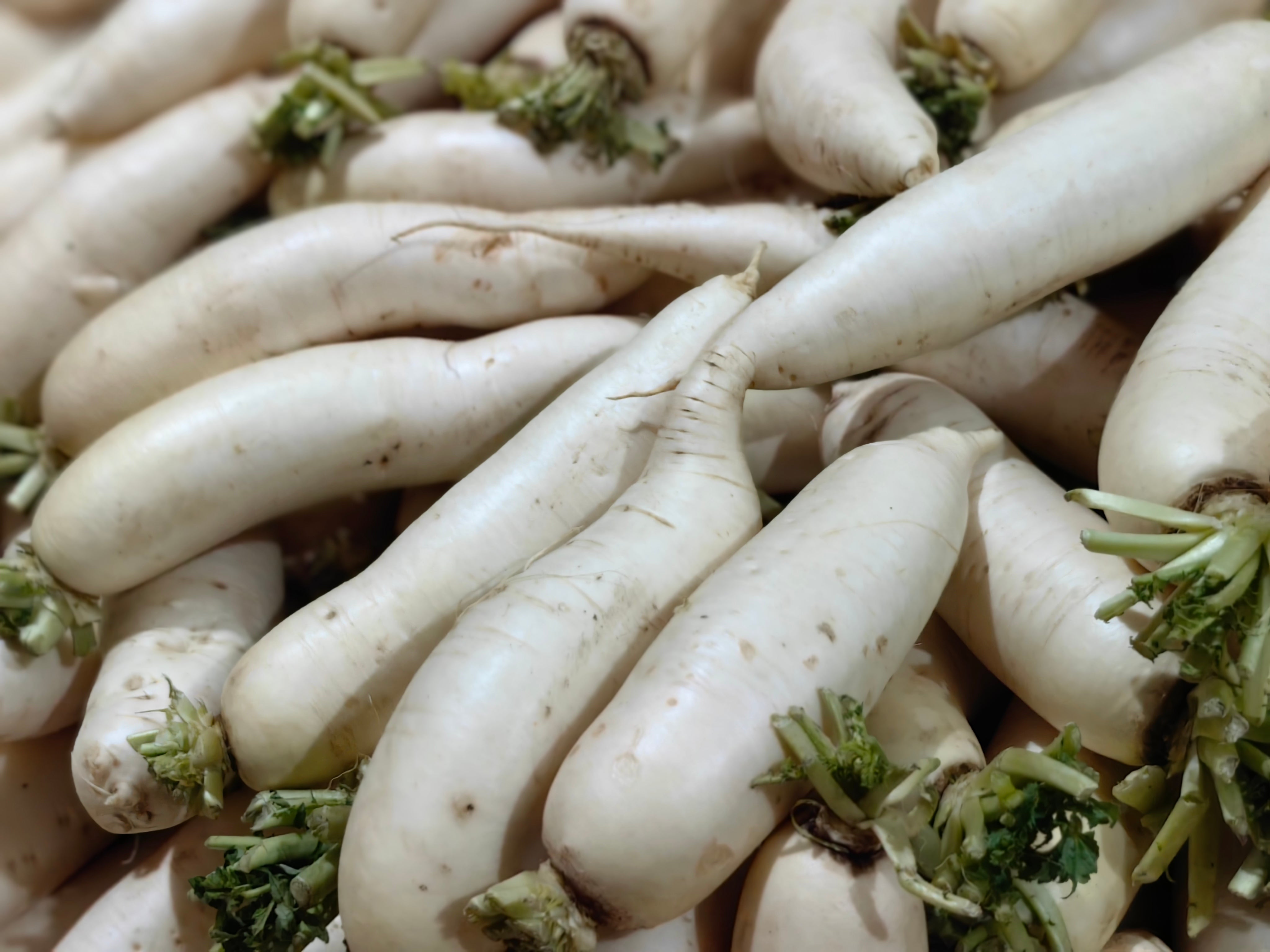 White Radish (Daikon) - 1 Piece – Umall - Australia's Largest Online ...