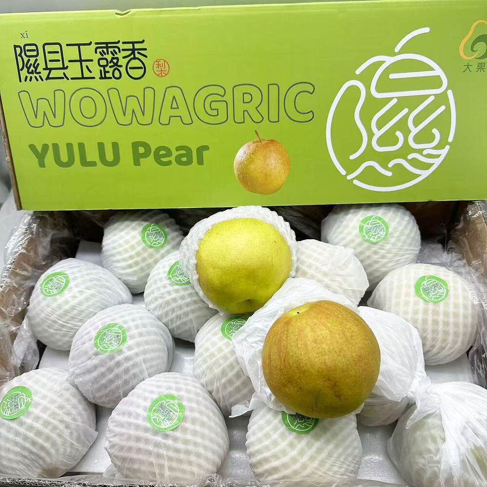 WOWAGRIC Yulu Pears 1kg - Crisp, Juicy Asian Pear Variety – Umall ...