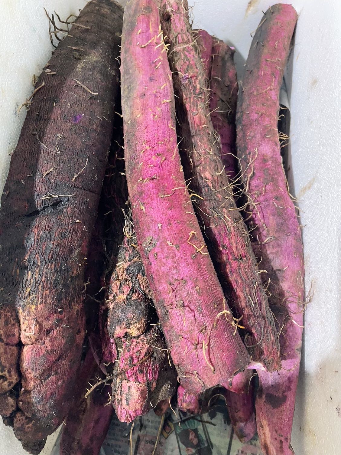 Fresh Purple Yam 1kg - Sydney Online Vegetables – Umall - Australia's ...