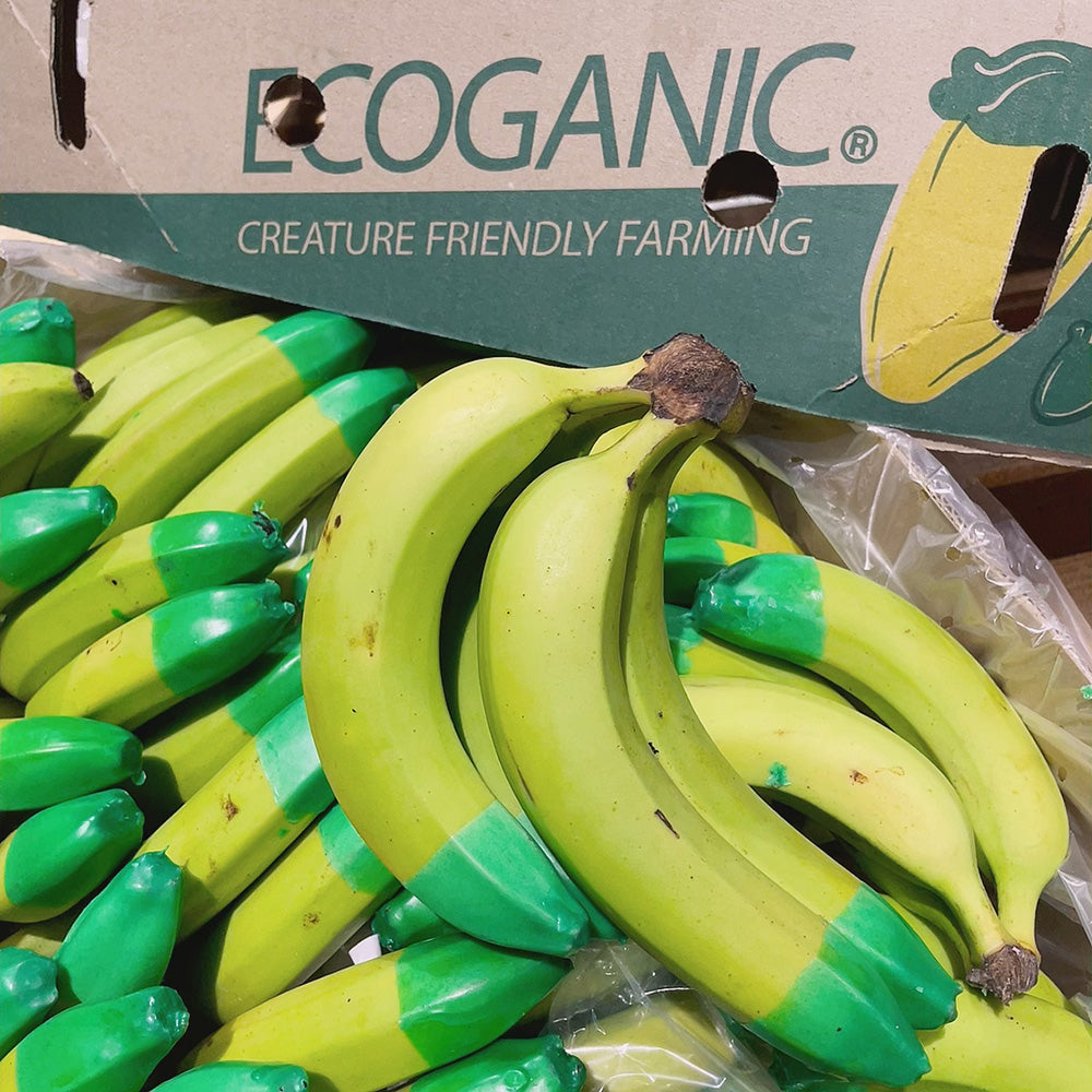 Ecoganic Organic Bananas - 1kg – Umall - Sydney's Largest Online Asian ...