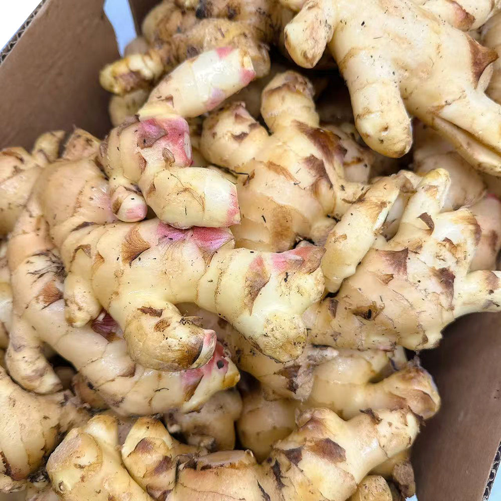 Young Ginger 500g - Buy Online in Sydney – Umall - Australia's Largest ...