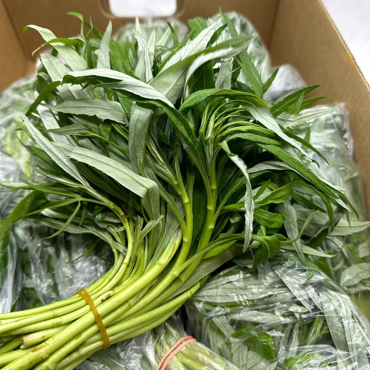 Lihao Greens 1 Bunch – Next‑Day Delivery Sydney – Umall - Australia's ...