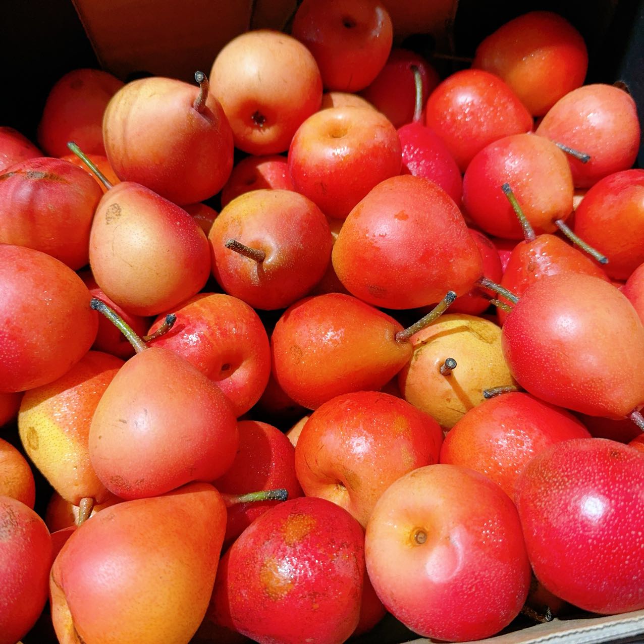 Piqa Boo Pears - 1kg – Umall - Australia's Largest Online Asian Supermarket