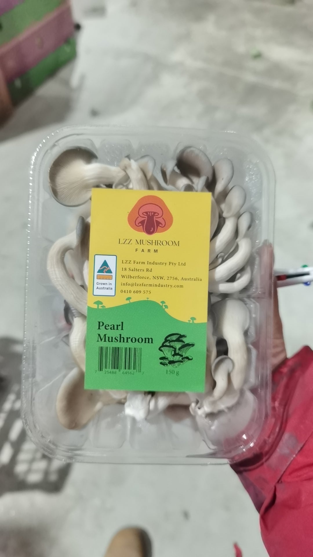 LZZ Pearl Mushrooms 150g – Umall - Australia's Largest Online Asian ...